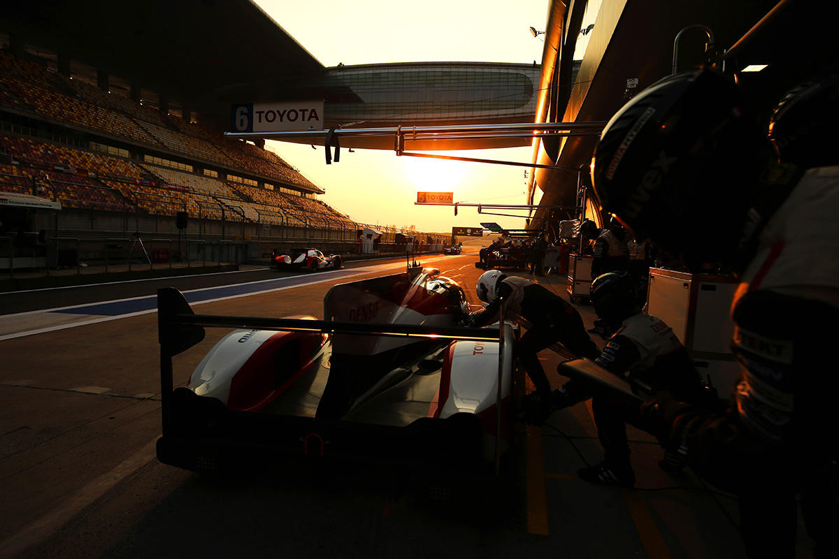 GALLERY | Rd.8 | 2016 | WEC | TOYOTA GAZOO Racing